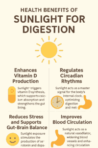How To Use Sunlight For Digestive Health: A Guide To Better Digestion