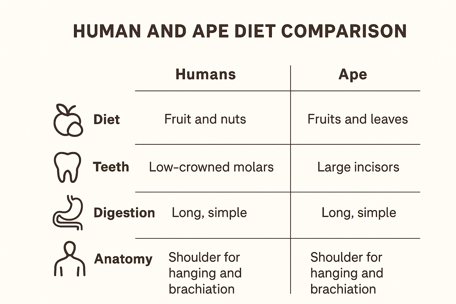 Fruit And Nuts Diet For Humans: Ape Diet Comparison Guide
